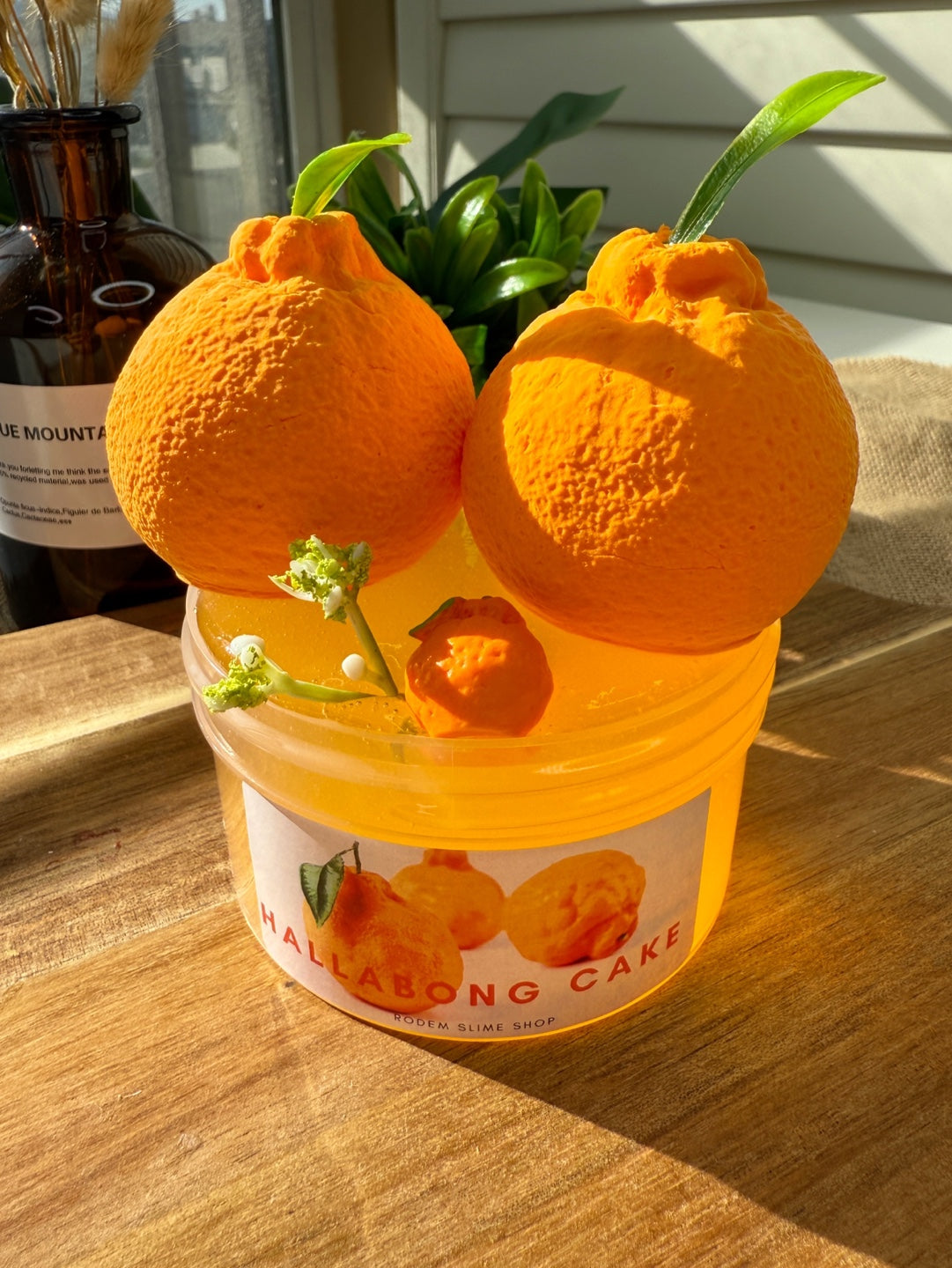 All Slime – Rodem Slime Shop